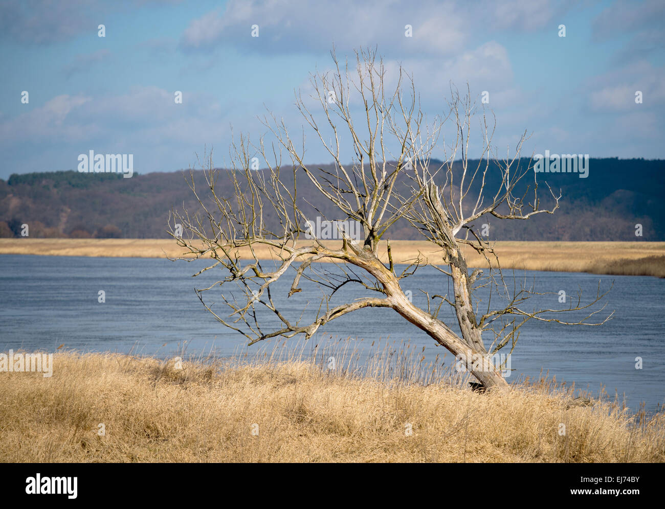 A view of the flooded Polder marshes at the Lower Oder Valley National ...