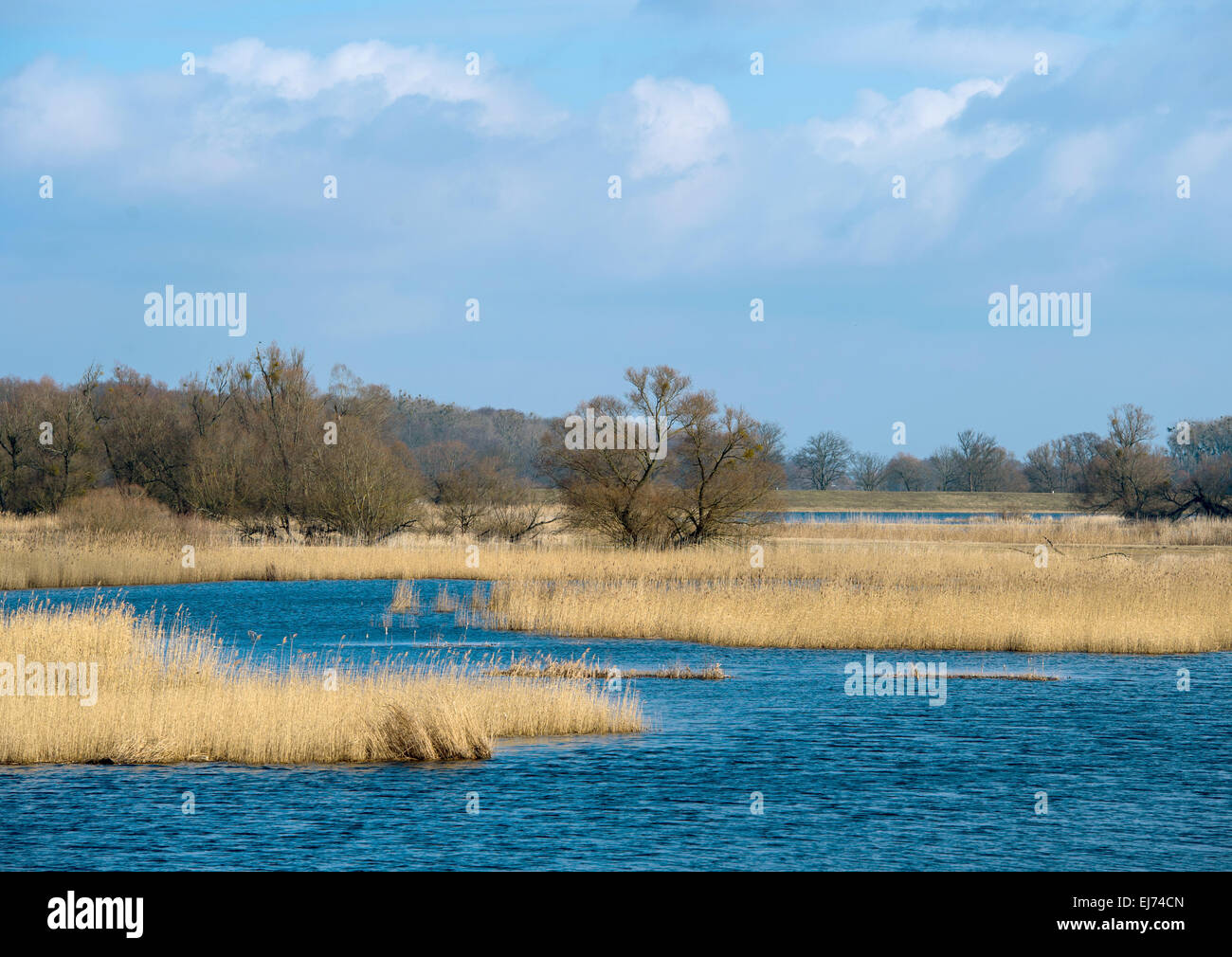 Schwedt, Germany. 4th Mar, 2015. A view of the flooded Polder marshes ...