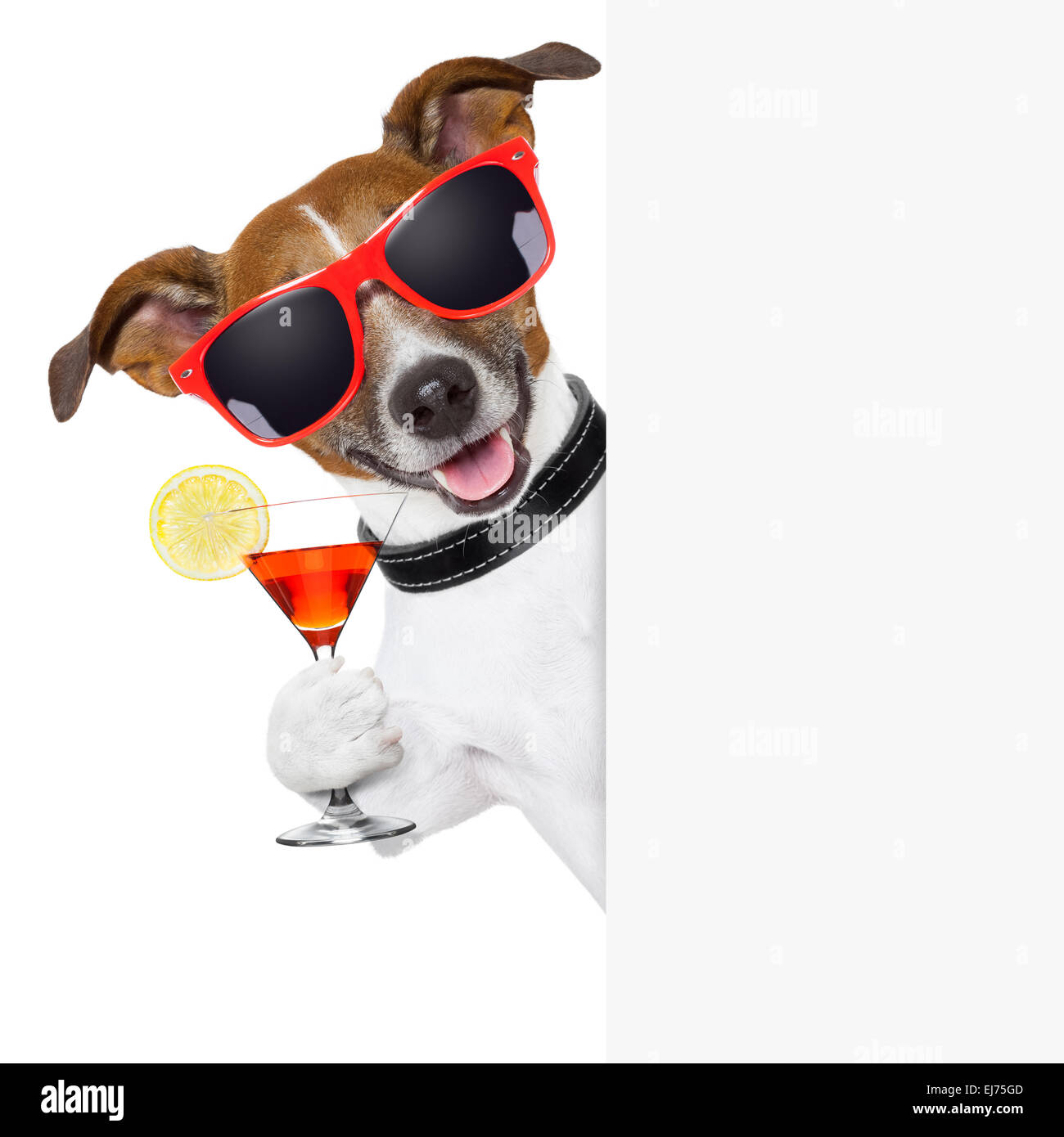 Tropical cocktail drink poster Cut Out Stock Images & Pictures - Alamy