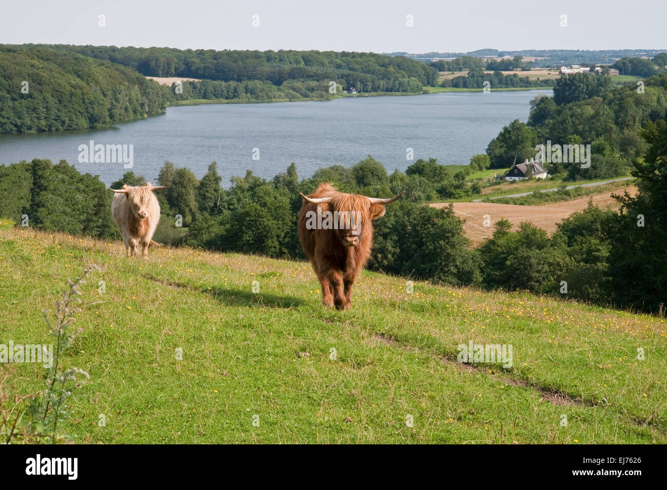 Stilling, skanderborg, denmark hi-res stock photography and images - Alamy