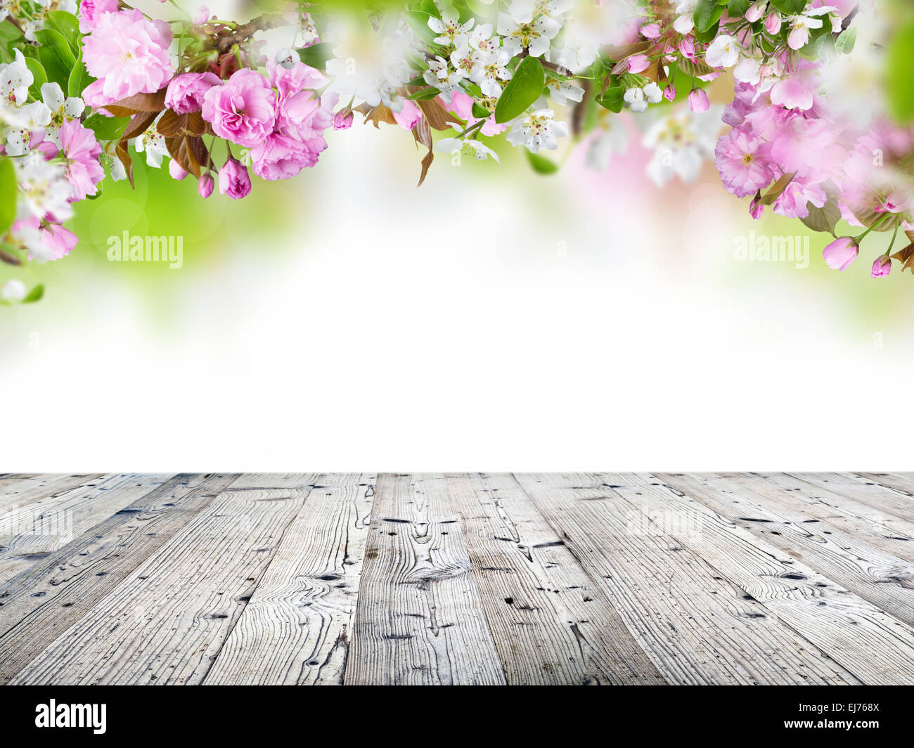 Spring border background with beautiful blossom Stock Photo - Alamy