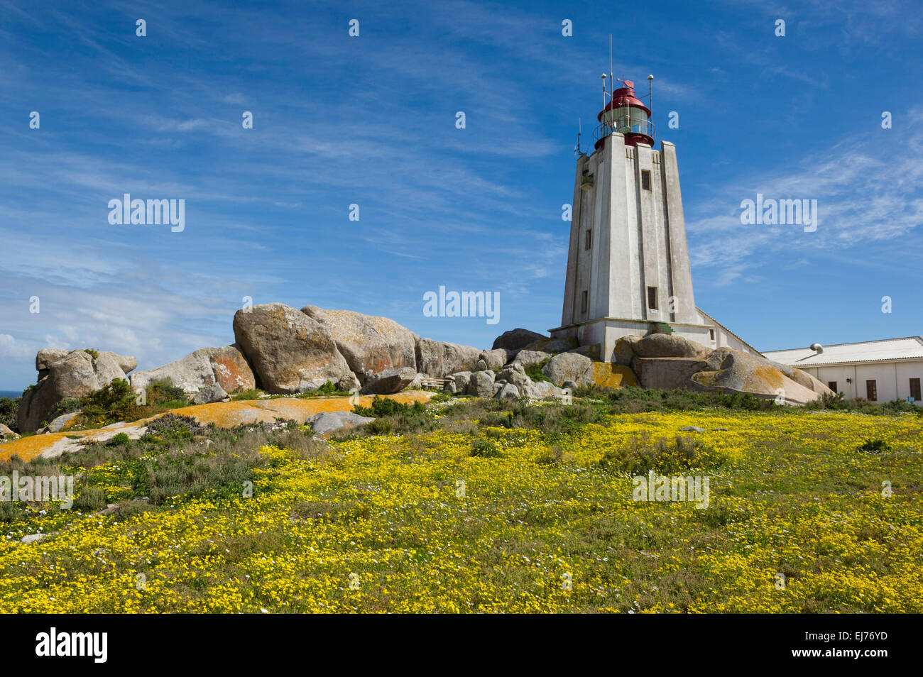 Lighthouse between spring flowers, Cape Columbine Nature Reserve ...