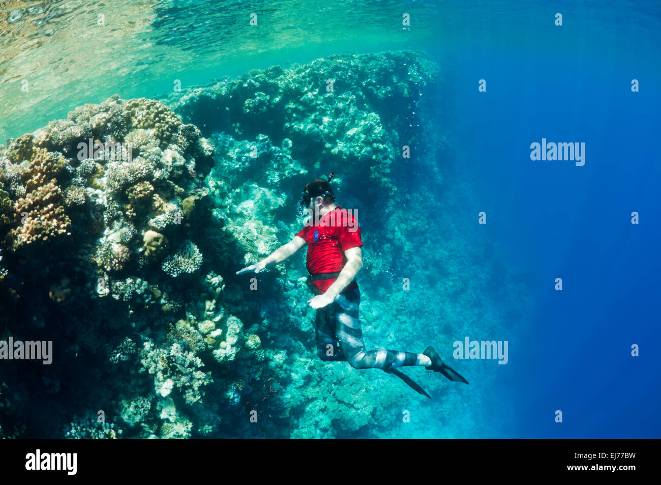 Freediving hi-res stock photography and images - Alamy