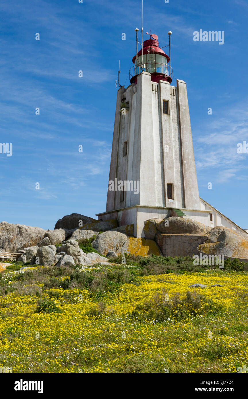Lighthouse between spring flowers, Cape Columbine Nature Reserve ...