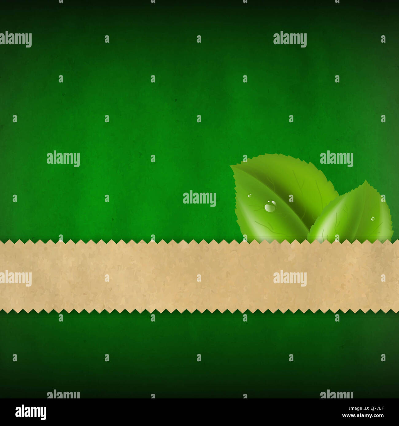 Grunge Green Paper Background With Leaves Stock Photo - Alamy