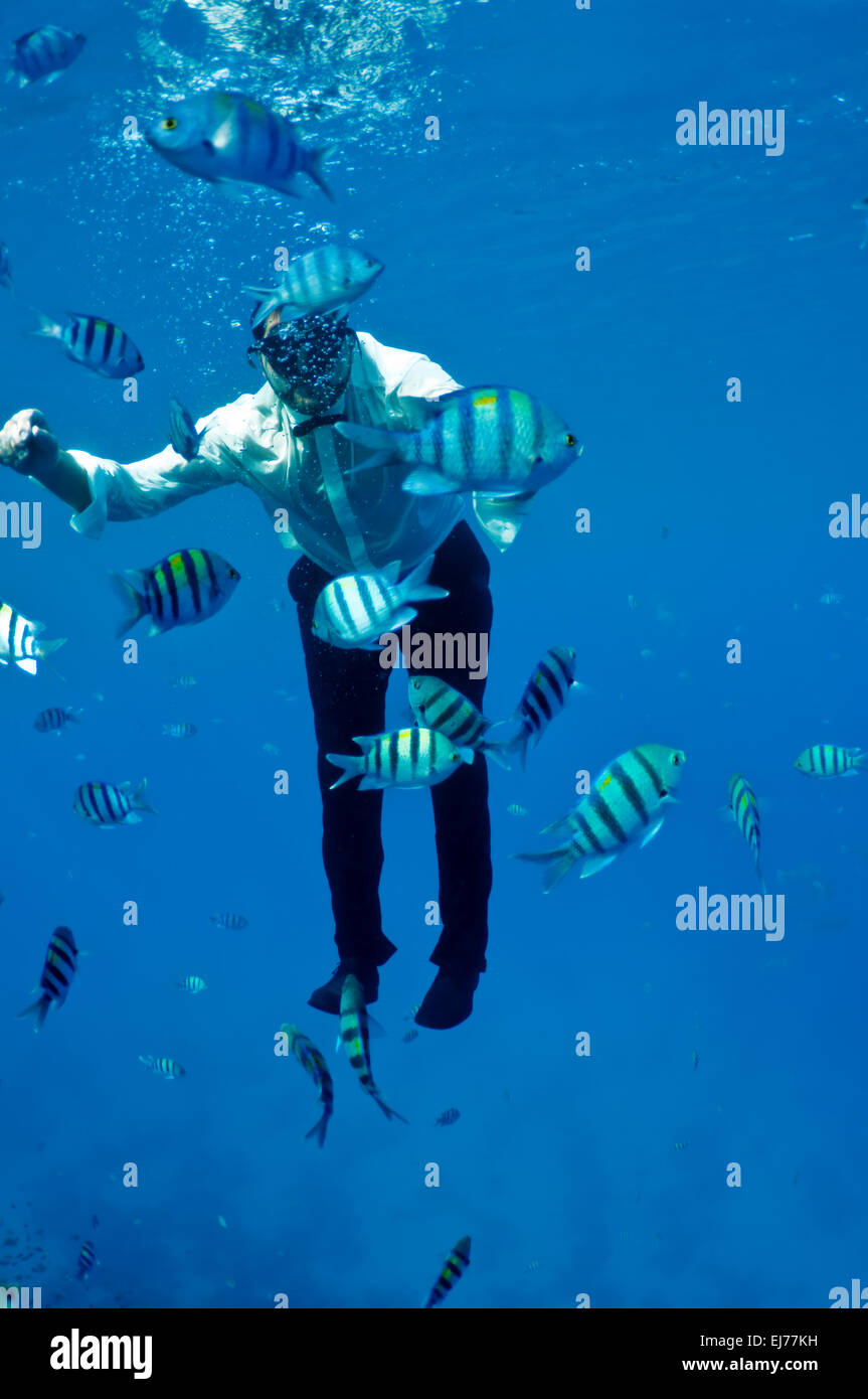 men and goldfish. Underwater conductor Stock Photo - Alamy