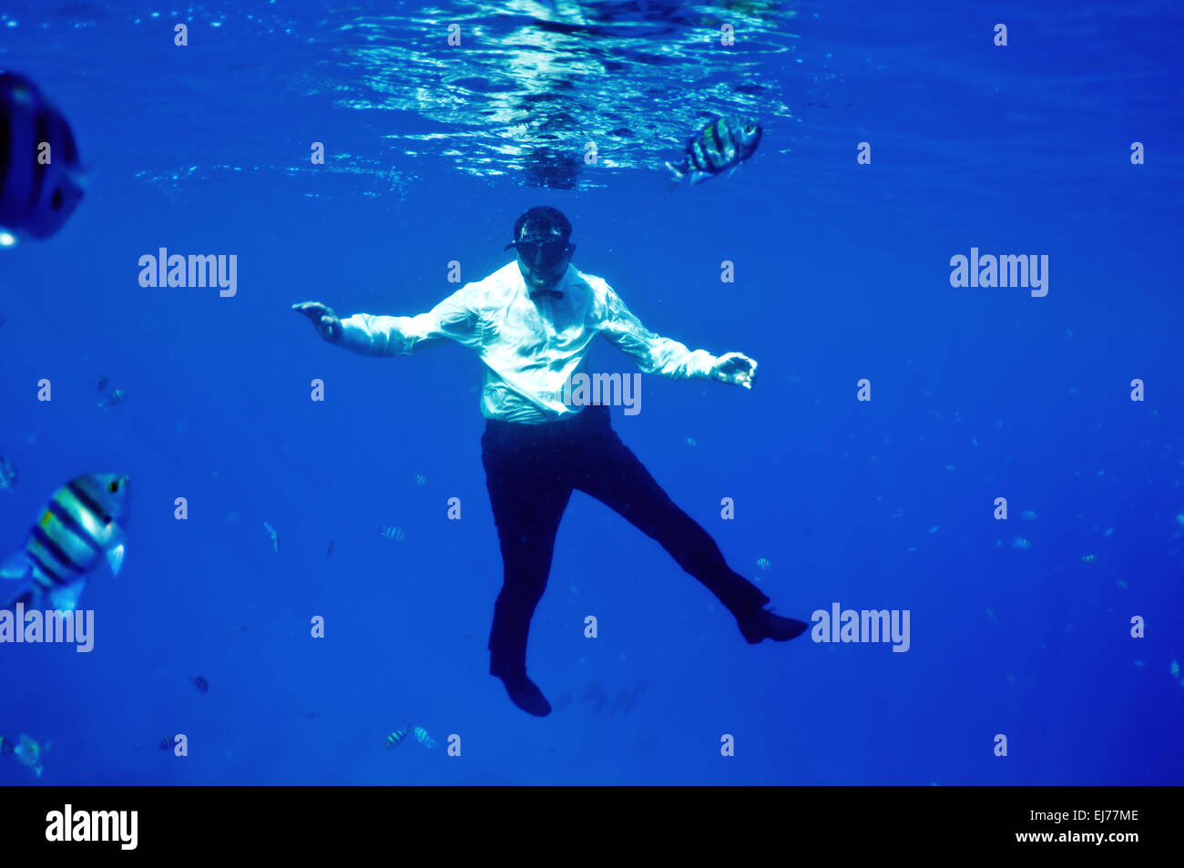 Friendship fish hi-res stock photography and images - Alamy