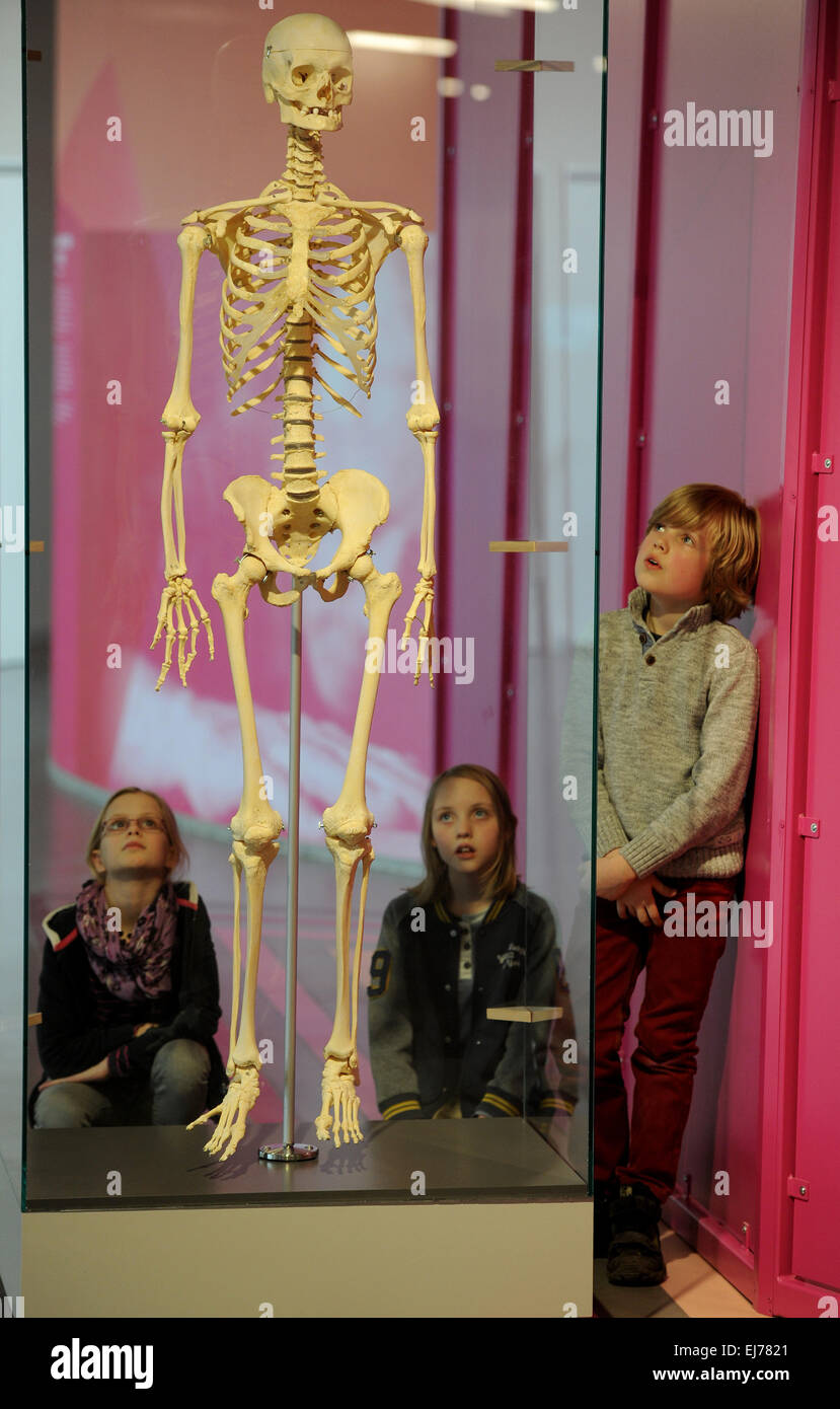 Students in school with skeleton hi-res stock photography and images ...