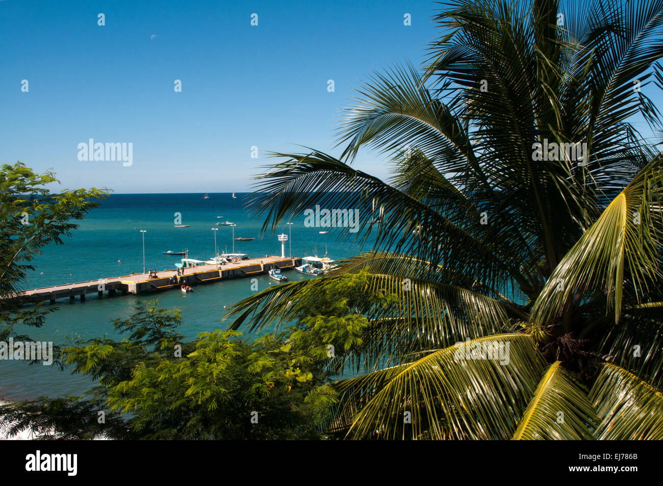 Rainforest grenada hi-res stock photography and images - Alamy