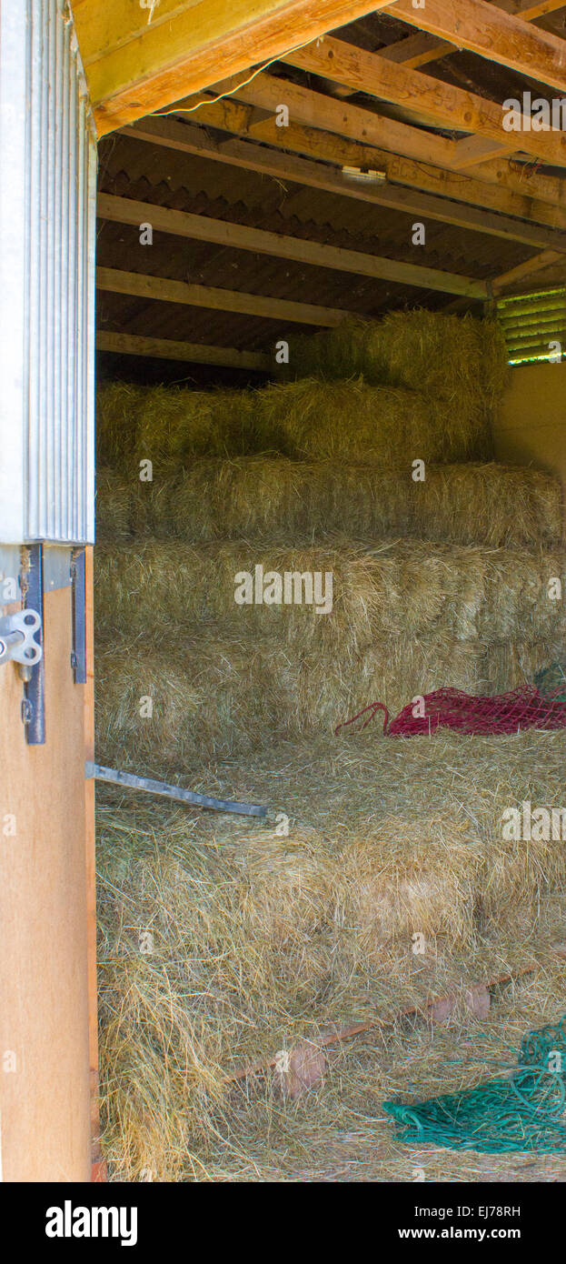 Hay Loft Stock Photos & Hay Loft Stock Images - Alamy