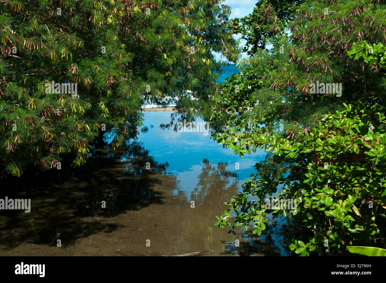 Grenada is one of the Windward Islands of the Lesser Antilles with a ...