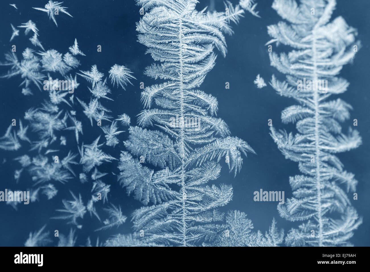 frost ice crystals Stock Photo - Alamy