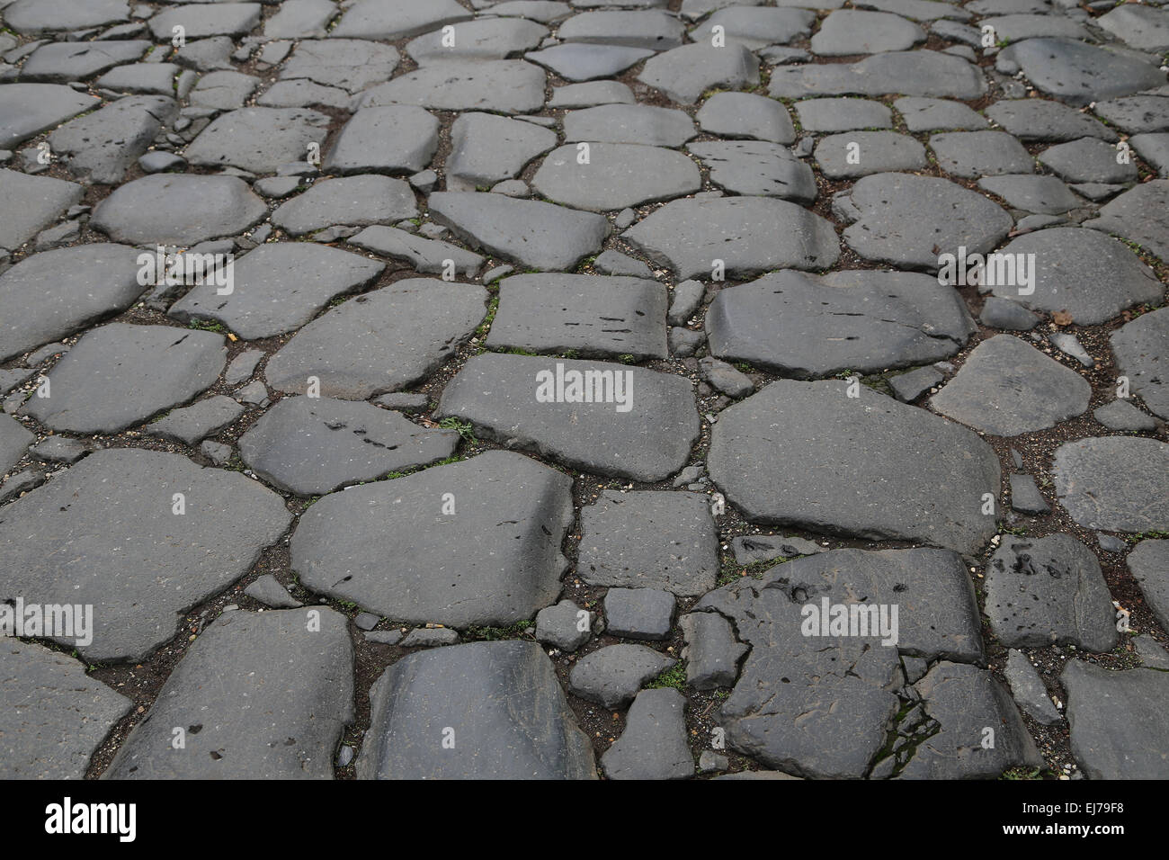 Italy. Rome. Via Sacra. Detail stone paving. Near Roman Forum Stock ...