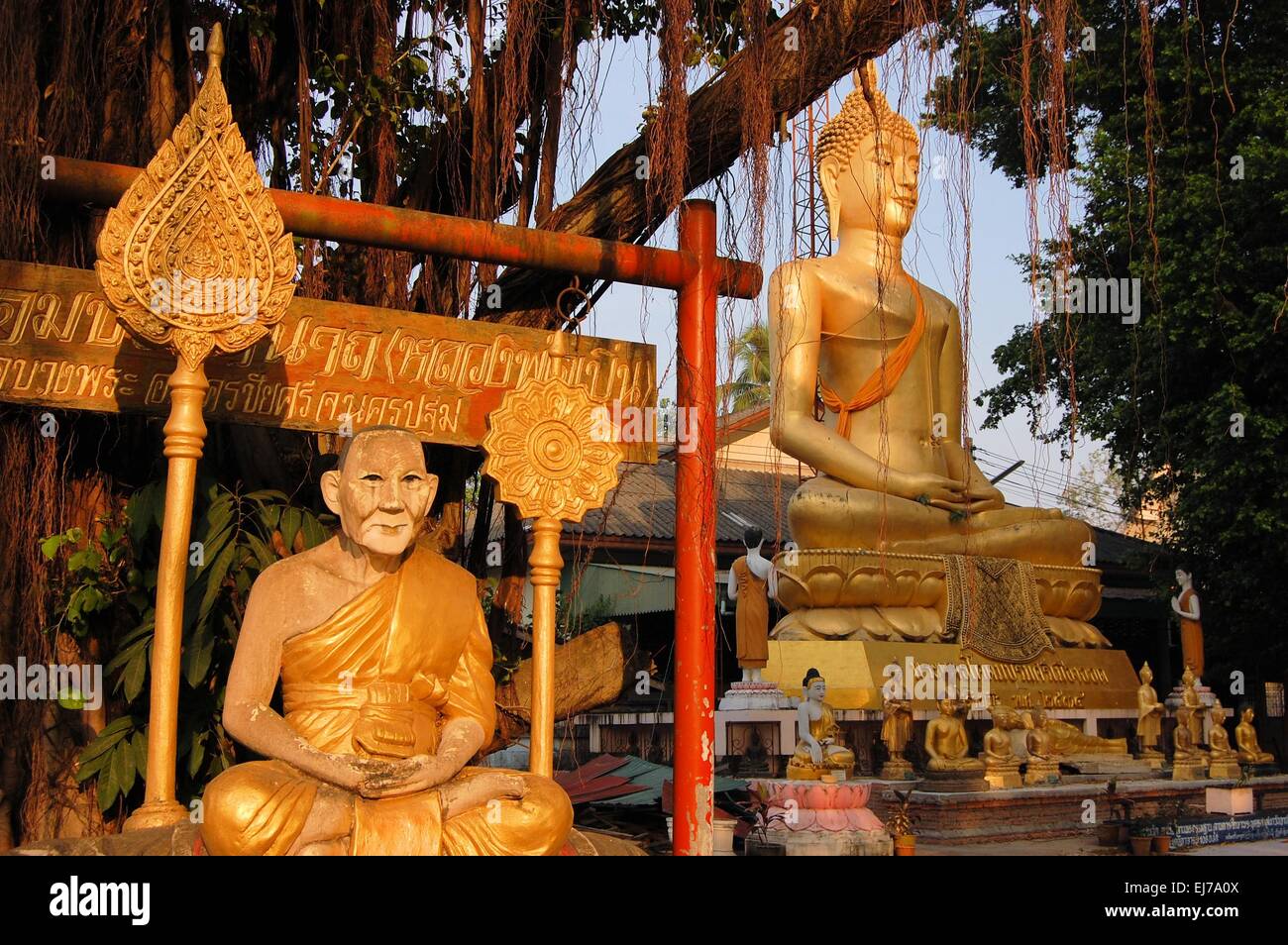 Buddha bodhi tree art hi-res stock photography and images - Alamy