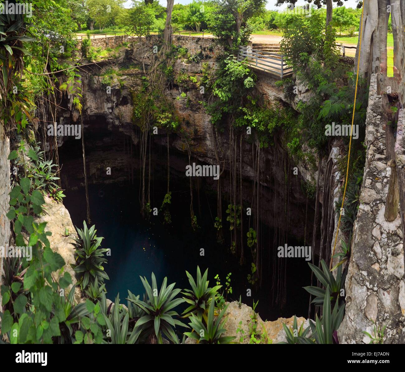 Cenote San Lorenzo Oxman near Valladolid, Mexico Stock Photo - Alamy