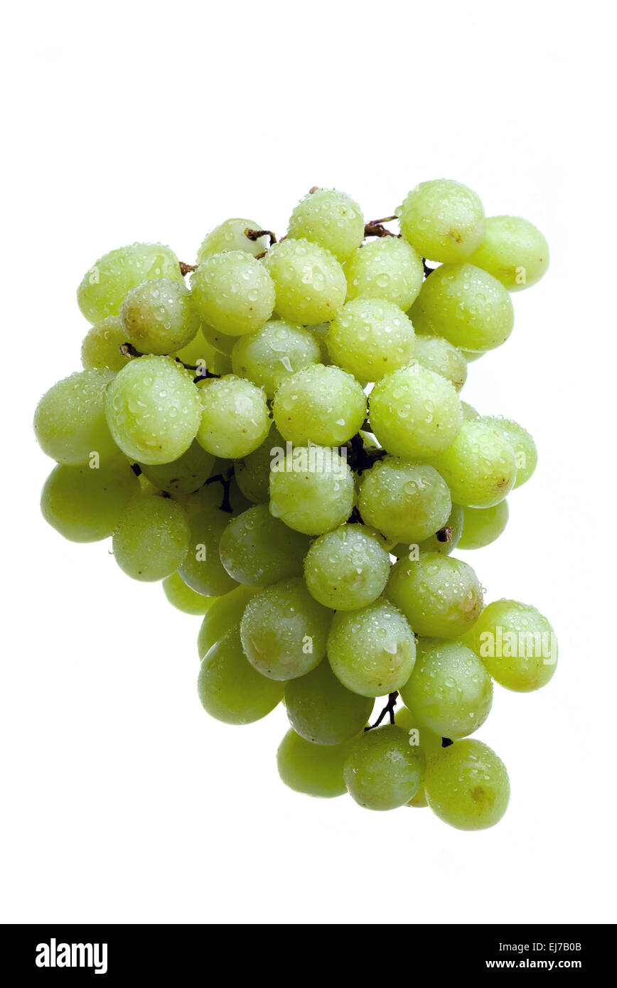 Cluster of grapes Stock Photo - Alamy