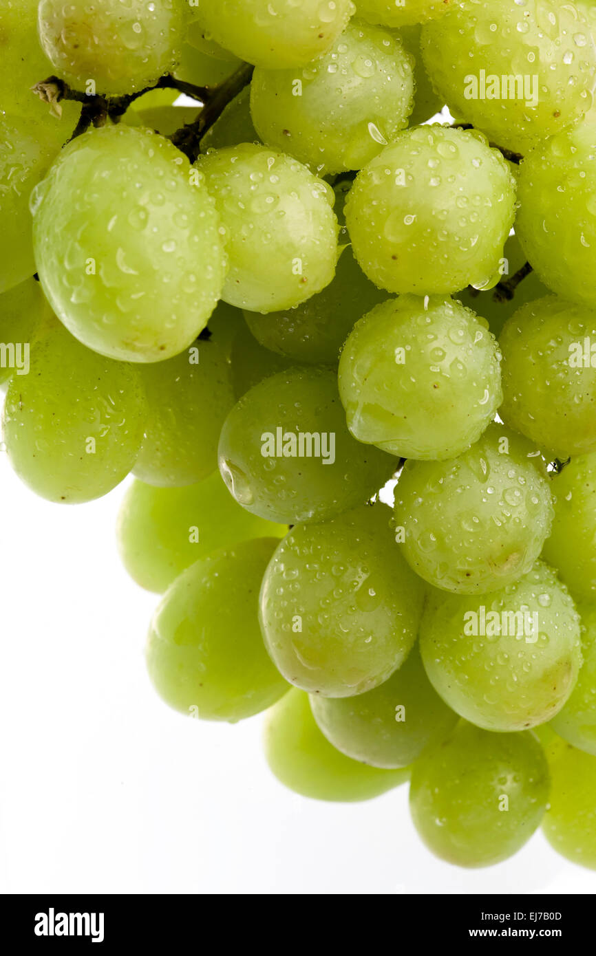 Green leaf grapes water hi-res stock photography and images - Alamy