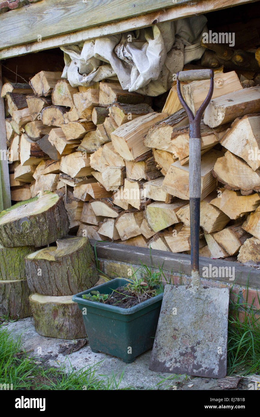 Full garden wood store, stacked with split wood and additional un-split ...