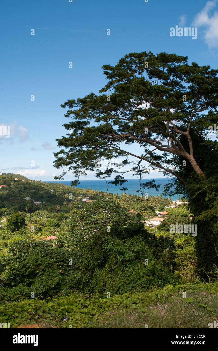 Levera national park hi-res stock photography and images - Alamy