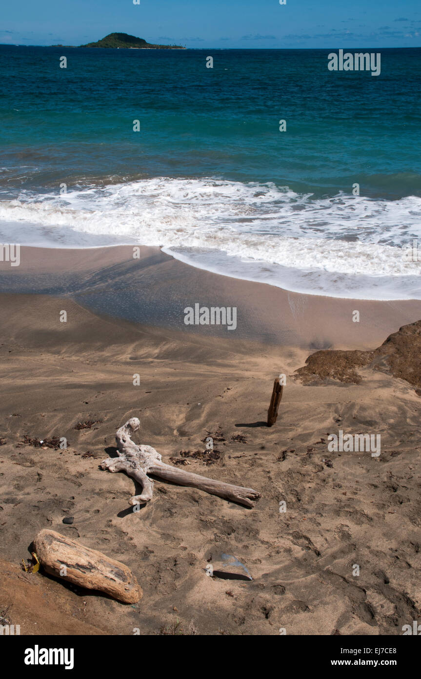 Levera national park hi-res stock photography and images - Alamy