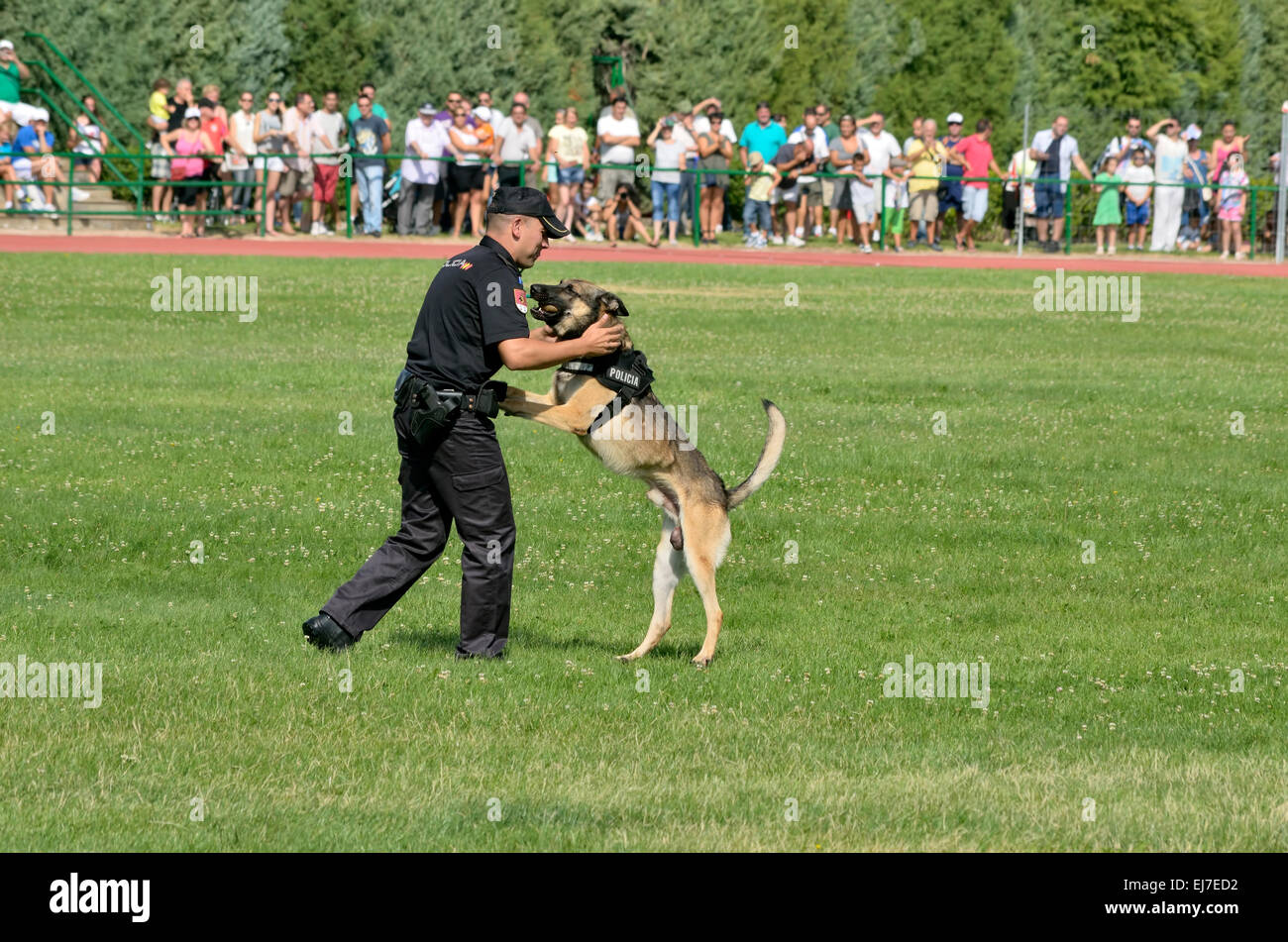 Unidentified people watching unidentified policeman and his police dog ...