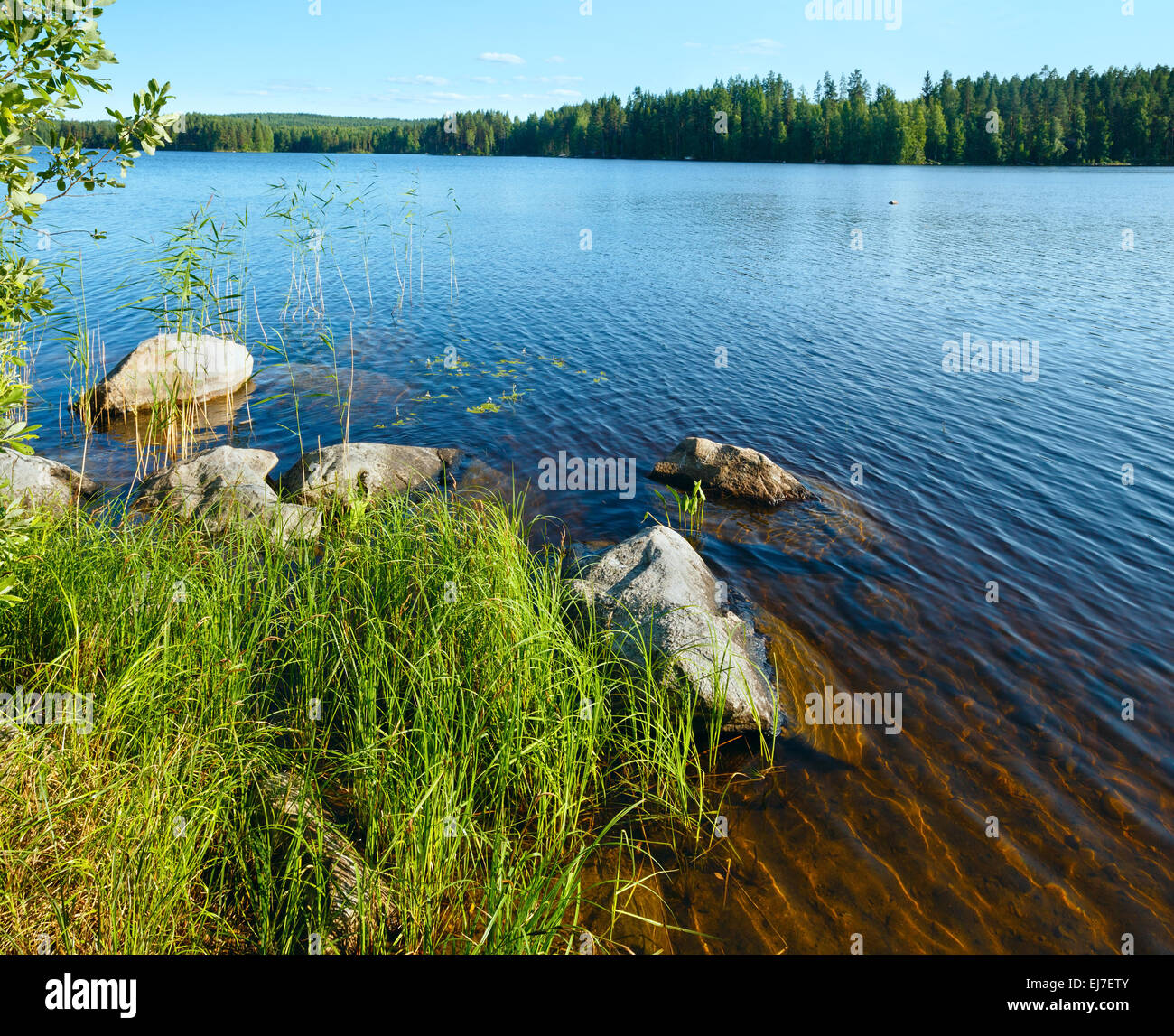 Lake summer view (Finland Stock Photo - Alamy