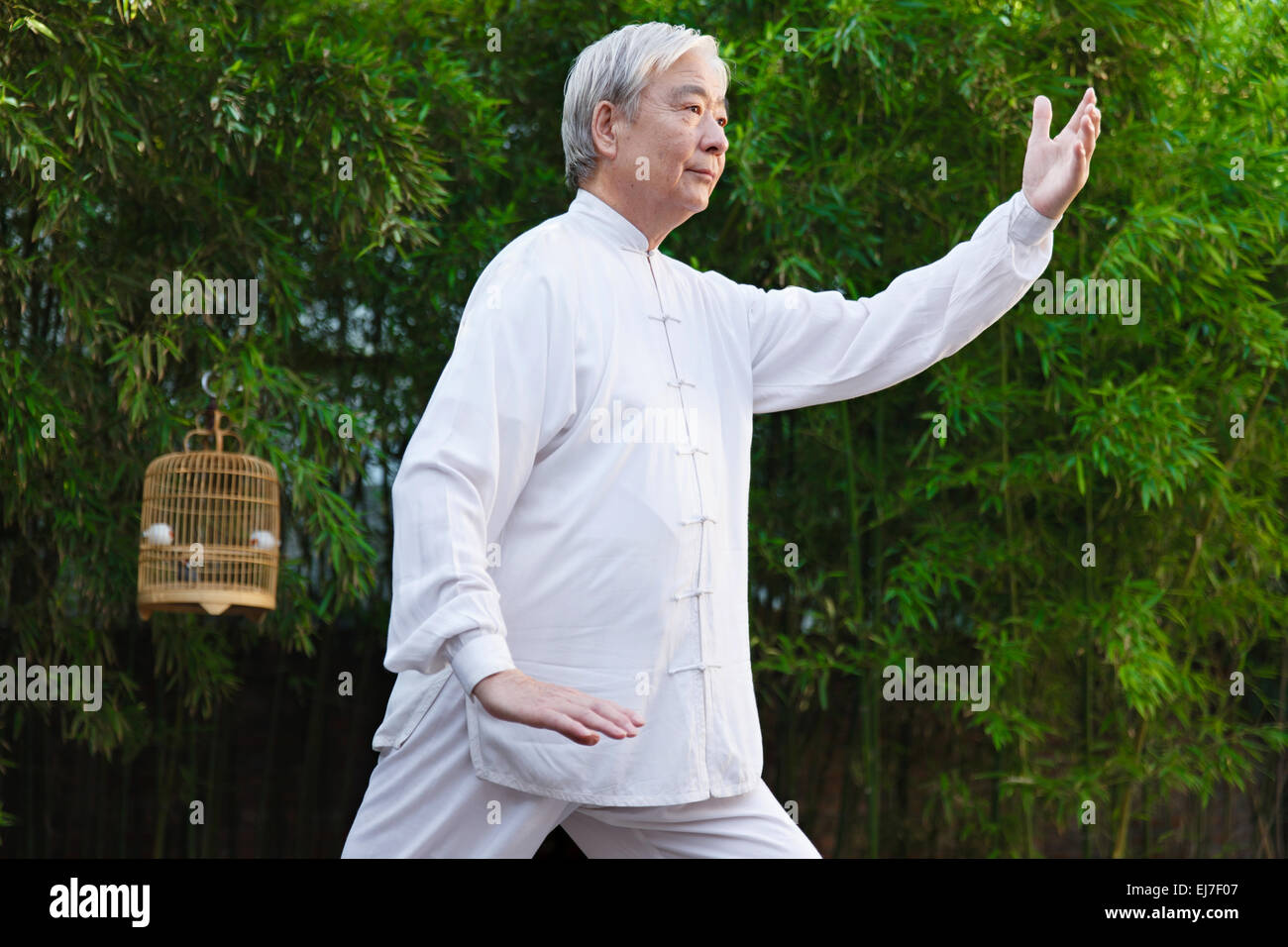An old man is practicing Tai Chi Stock Photo - Alamy