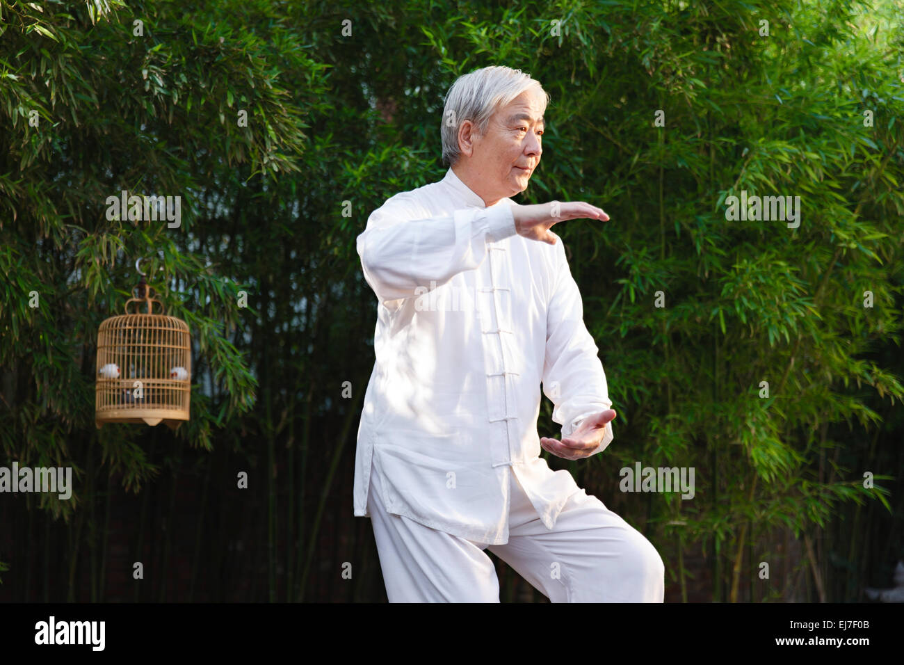 An old man is practicing Tai Chi Stock Photo - Alamy