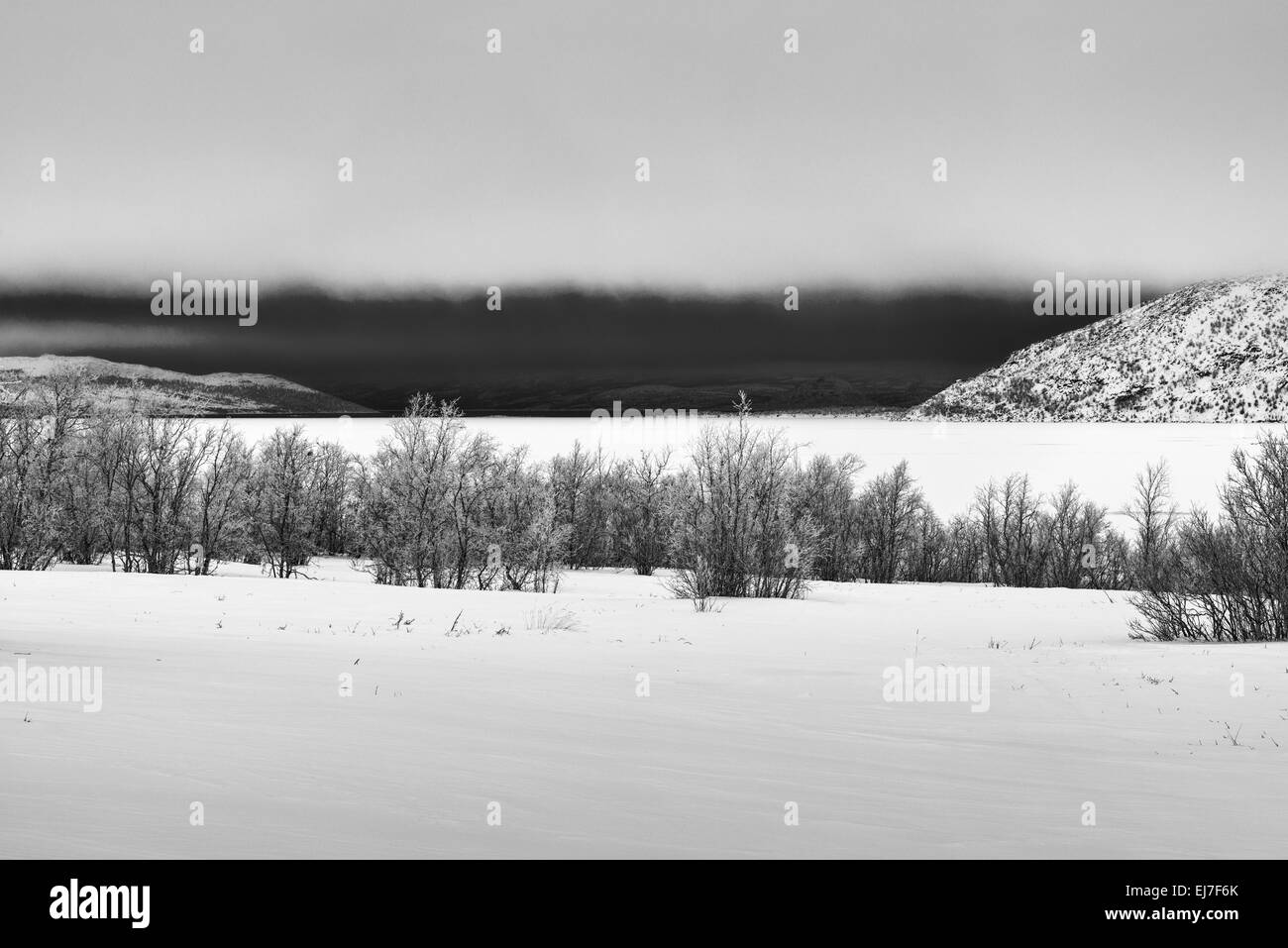 bad weather, Lake Tornetraesk, Lapland, Sweden Stock Photo - Alamy