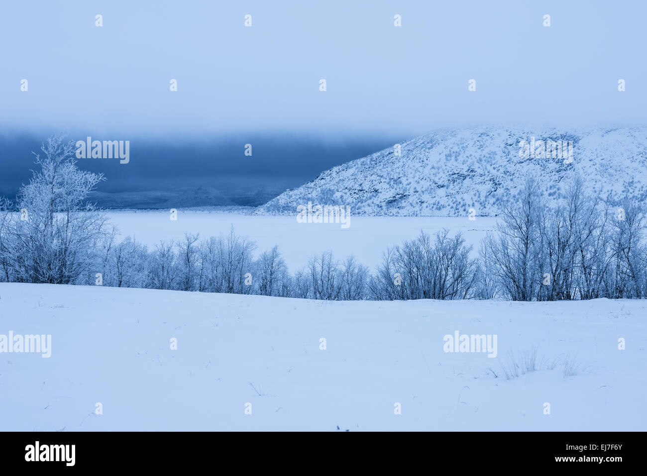 bad weather, Lake Tornetraesk, Lapland, Sweden Stock Photo - Alamy