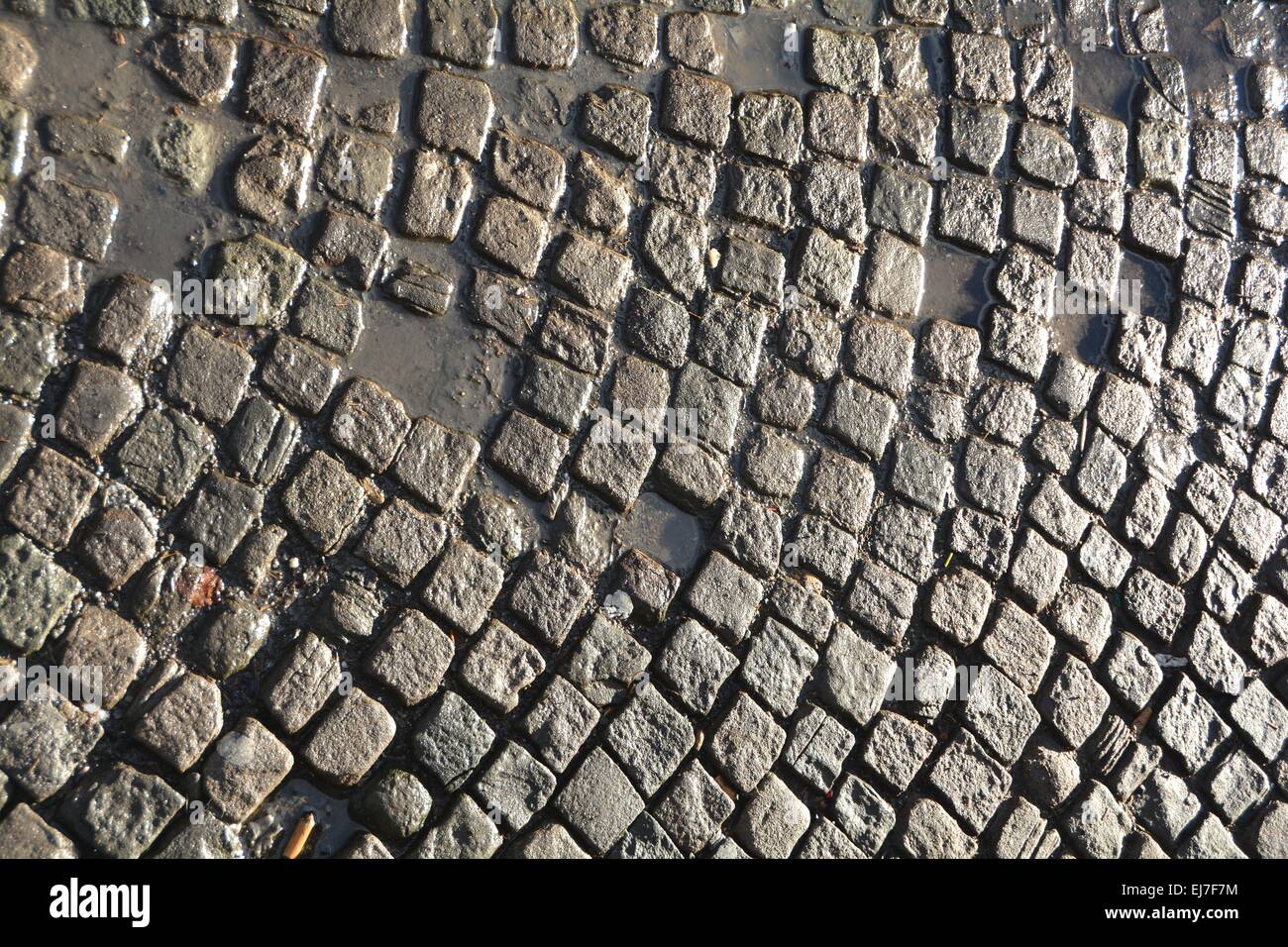wet cobblestones after a rain Stock Photo - Alamy