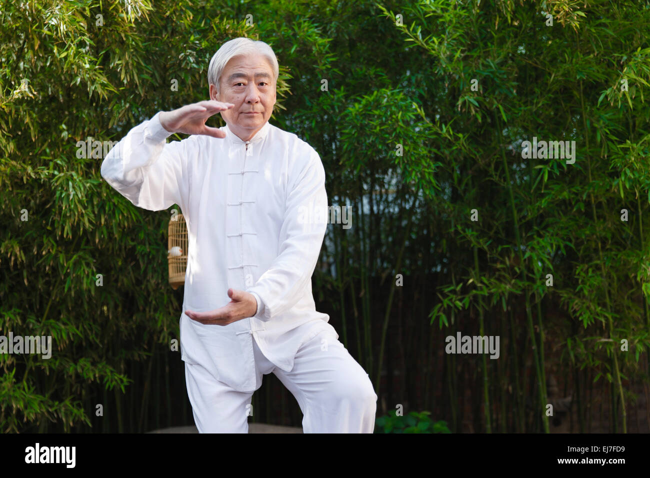 An old man is practicing Tai Chi Stock Photo - Alamy