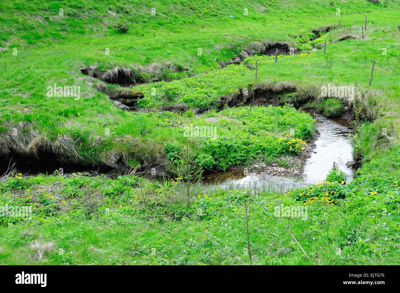 still natural calmer watercourse Stock Photo - Alamy