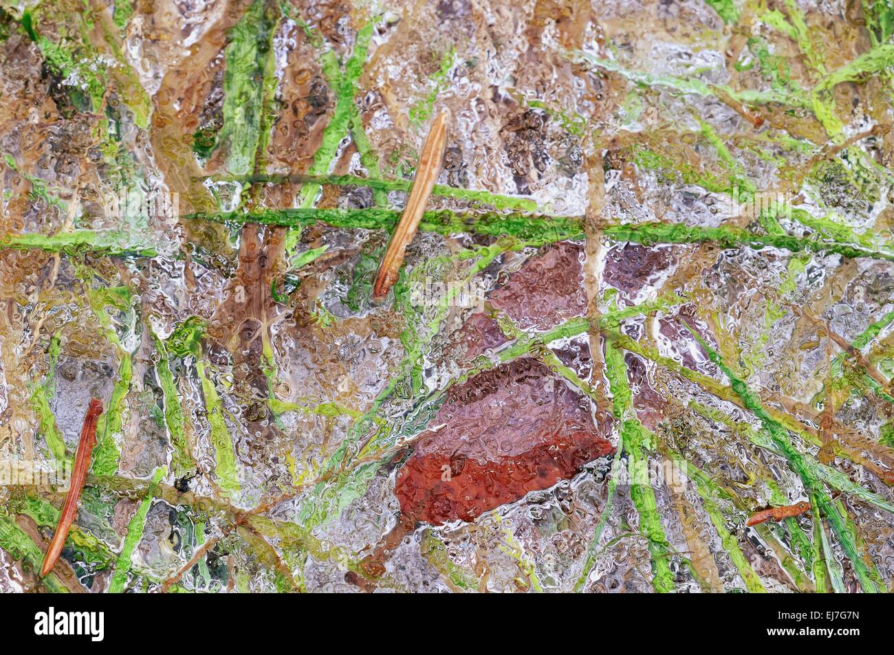 freezing cold frozen everything Stock Photo - Alamy