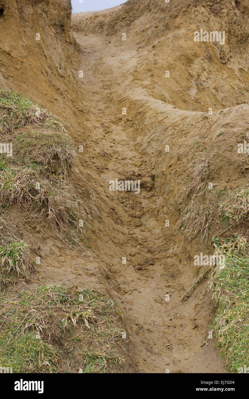 Narrow sandy mud slide channel cut away in the earth wither due to ...