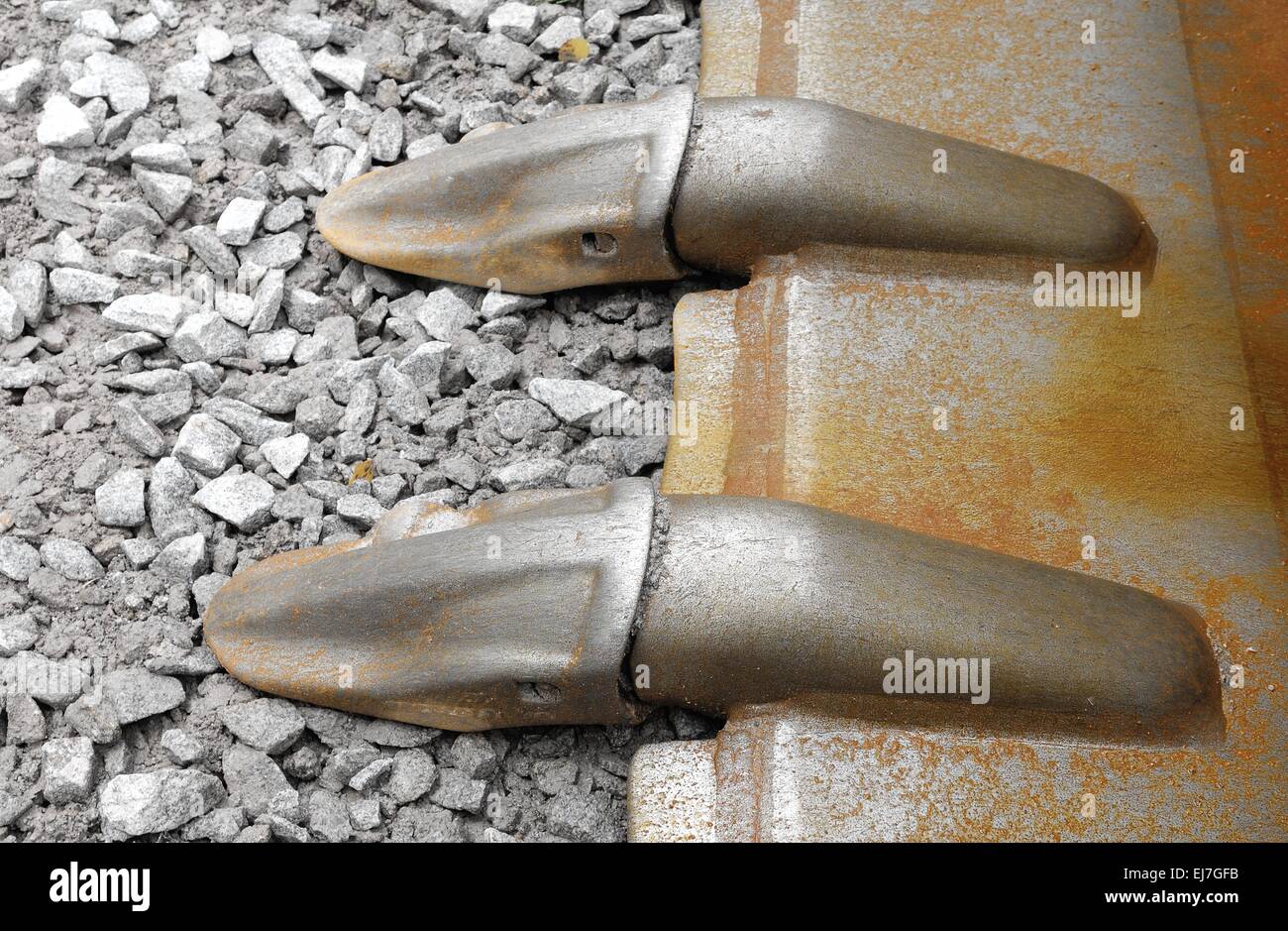 full power teeth Stock Photo - Alamy