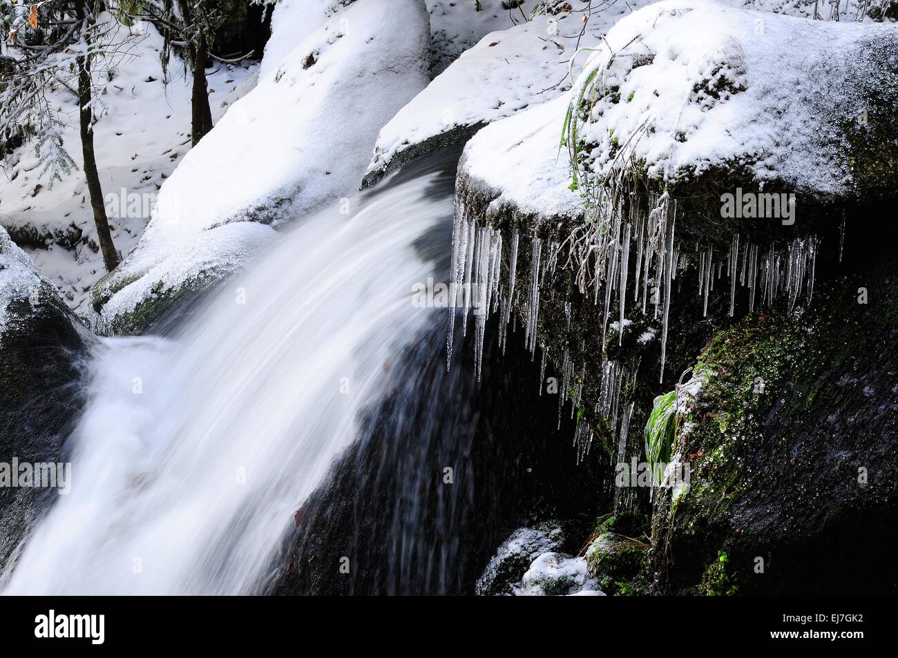 at the ice brook - with icicles Stock Photo - Alamy