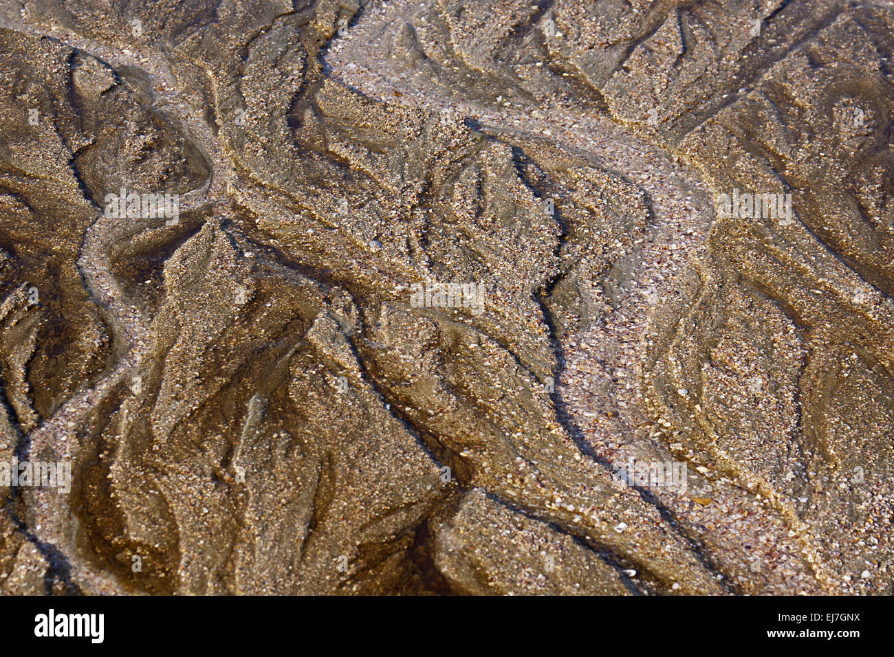 Beach Sediment Deposits High Resolution Stock Photography and Images ...
