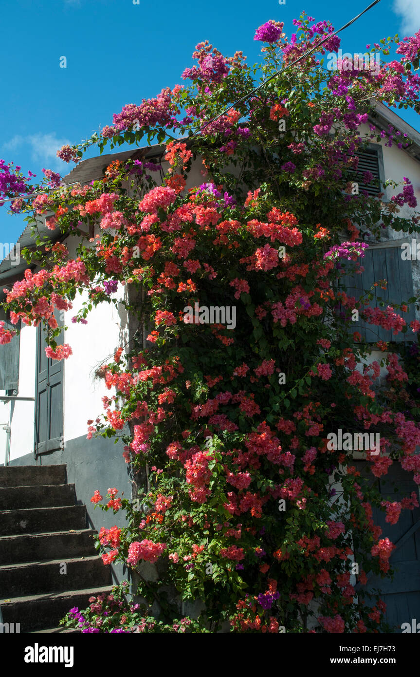 Grenada is one of the Windward Islands of the Lesser Antilles with a ...