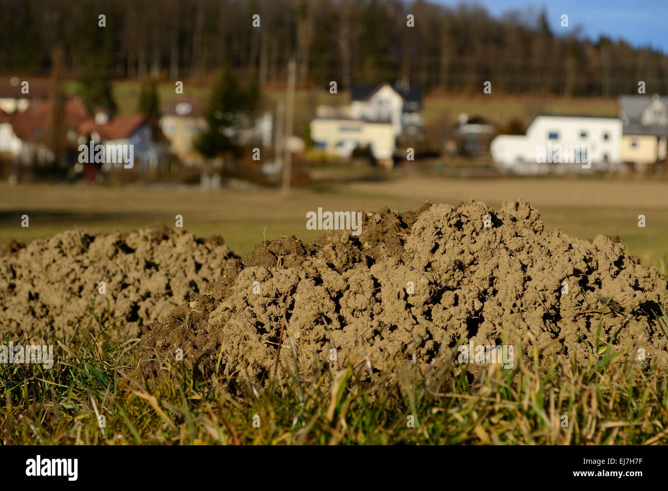 Molehill as a suburb Stock Photo - Alamy