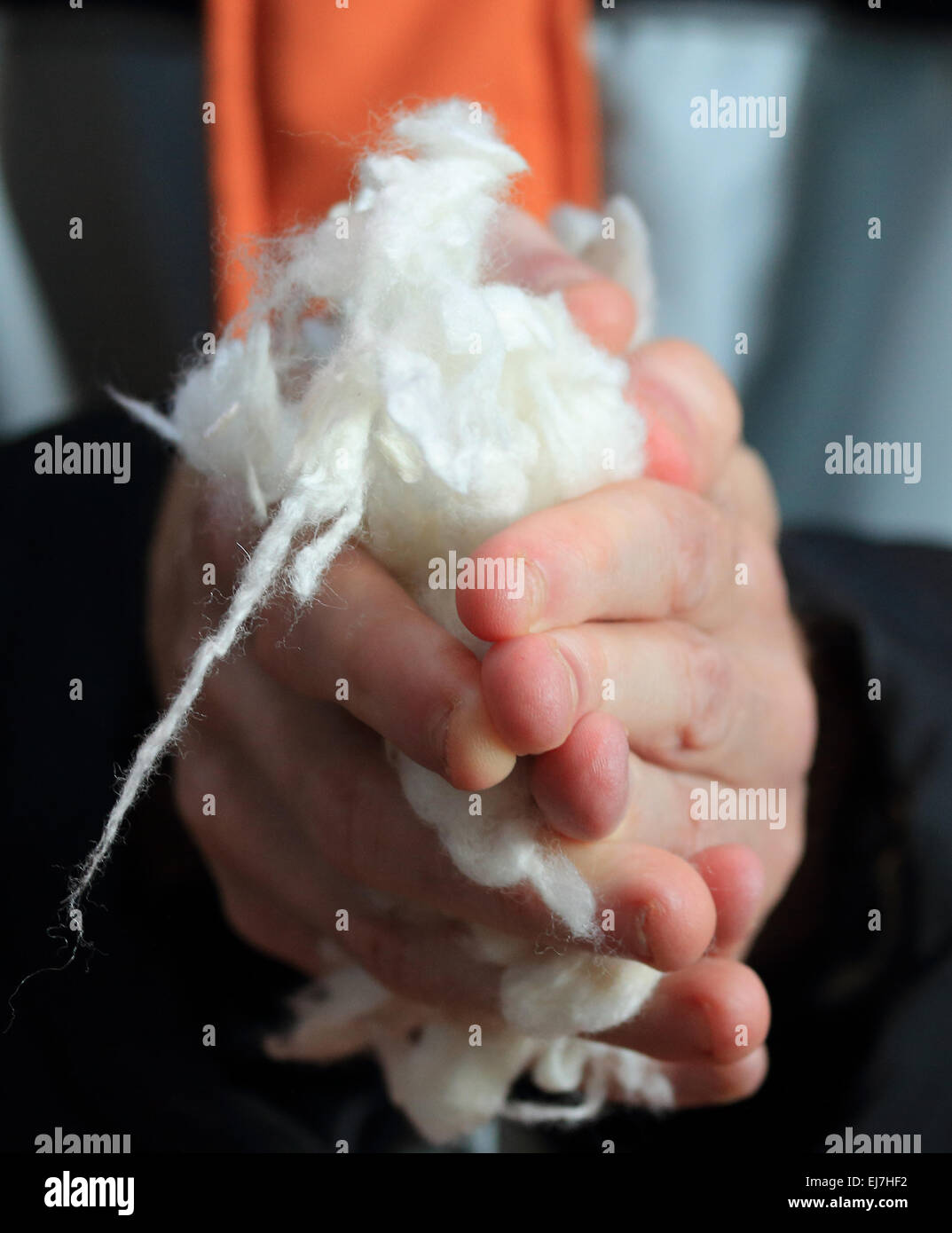 wholl in hands Stock Photo - Alamy