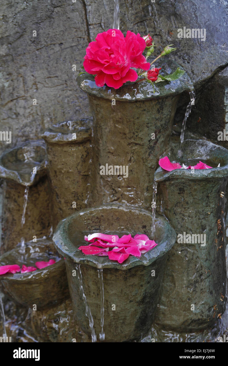 Rose well hi-res stock photography and images - Alamy