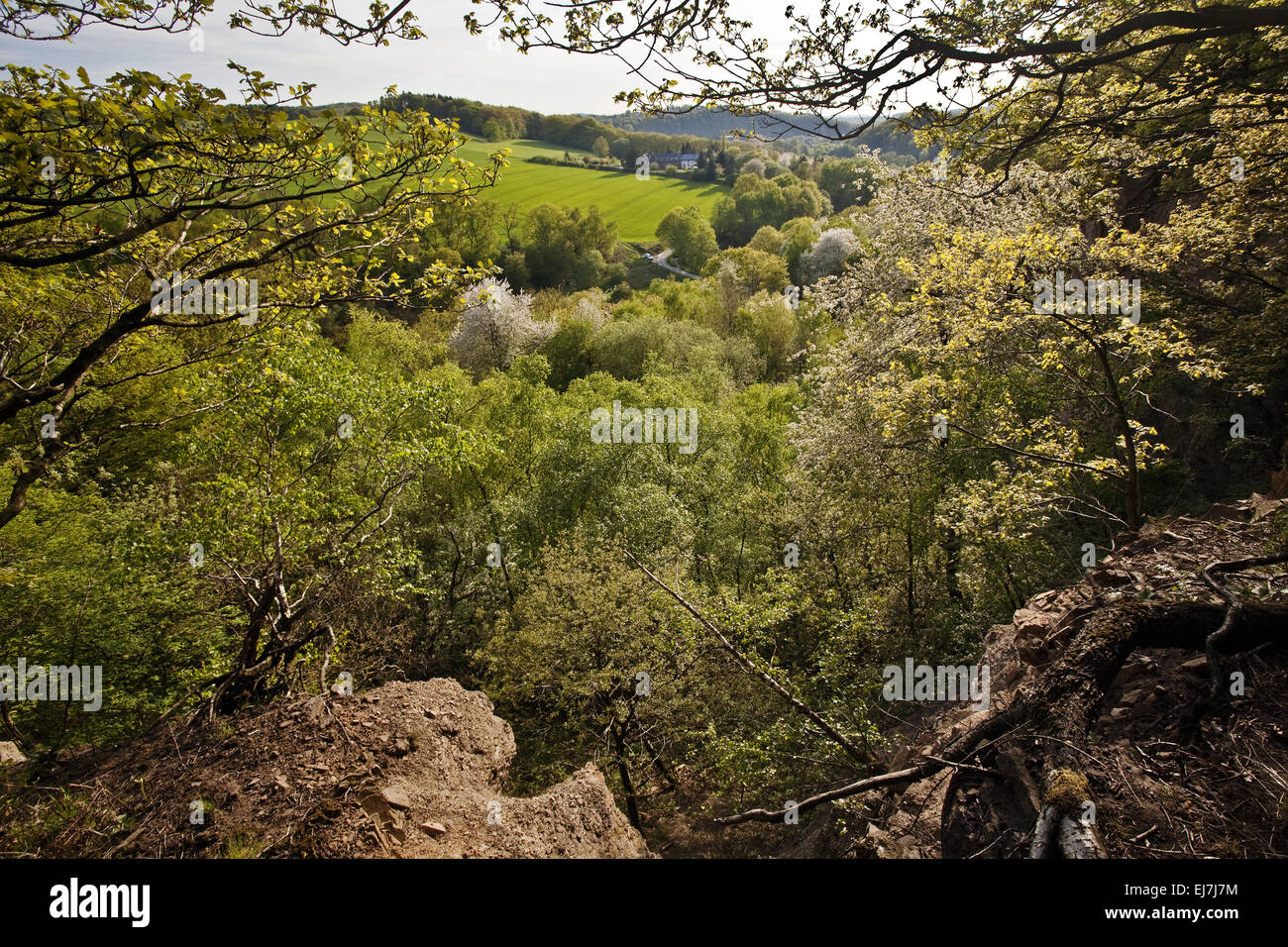 Muttental valley hi-res stock photography and images - Alamy