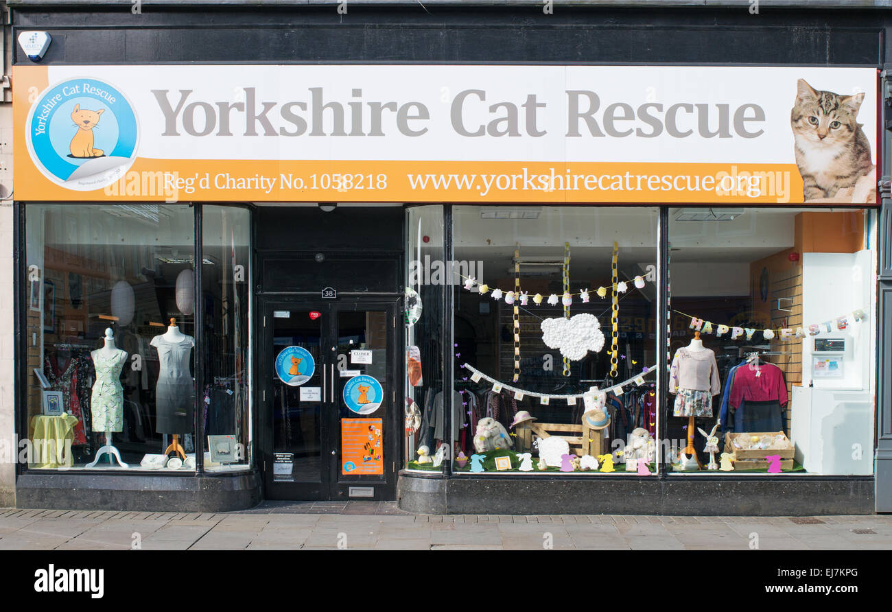 Rescue charity hi-res stock photography and images - Alamy