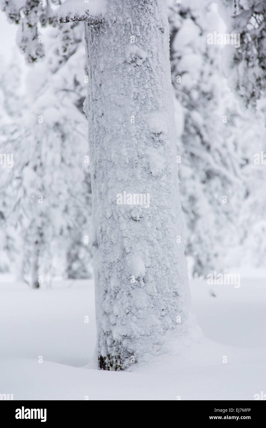 Finland photos hi-res stock photography and images - Alamy