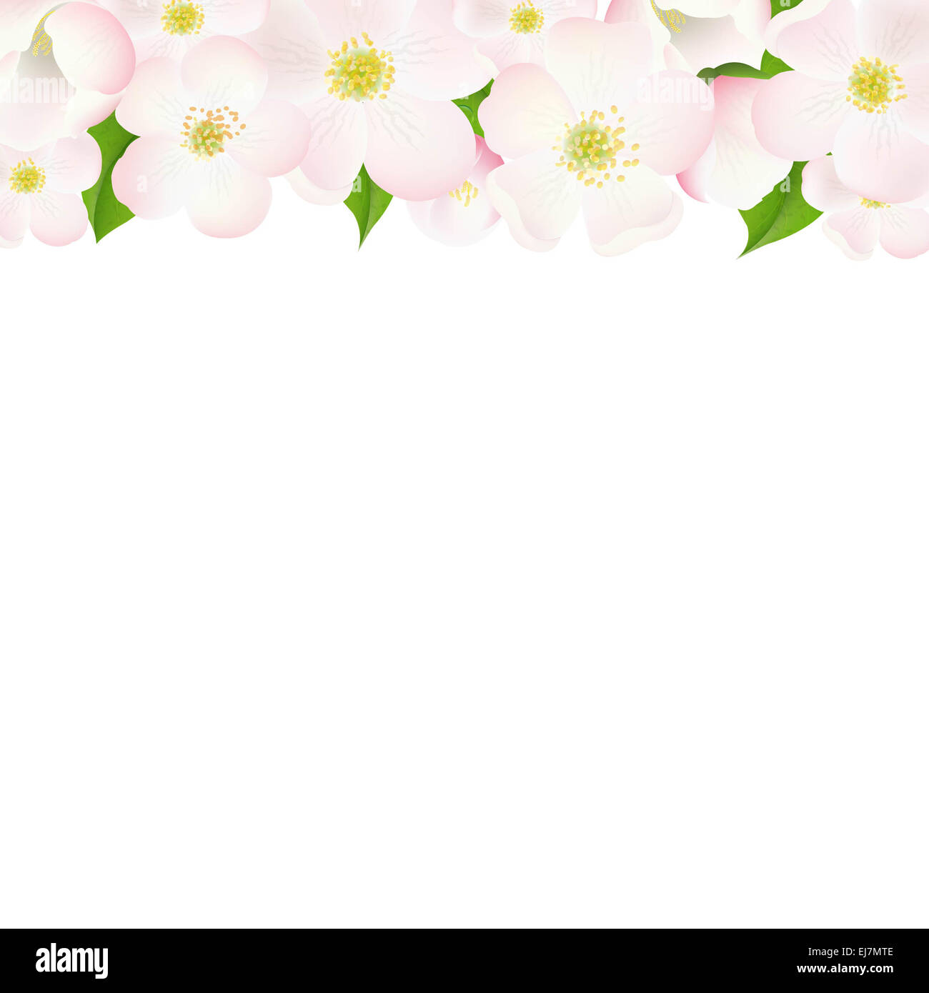 Fruit tree flower border hi-res stock photography and images - Alamy