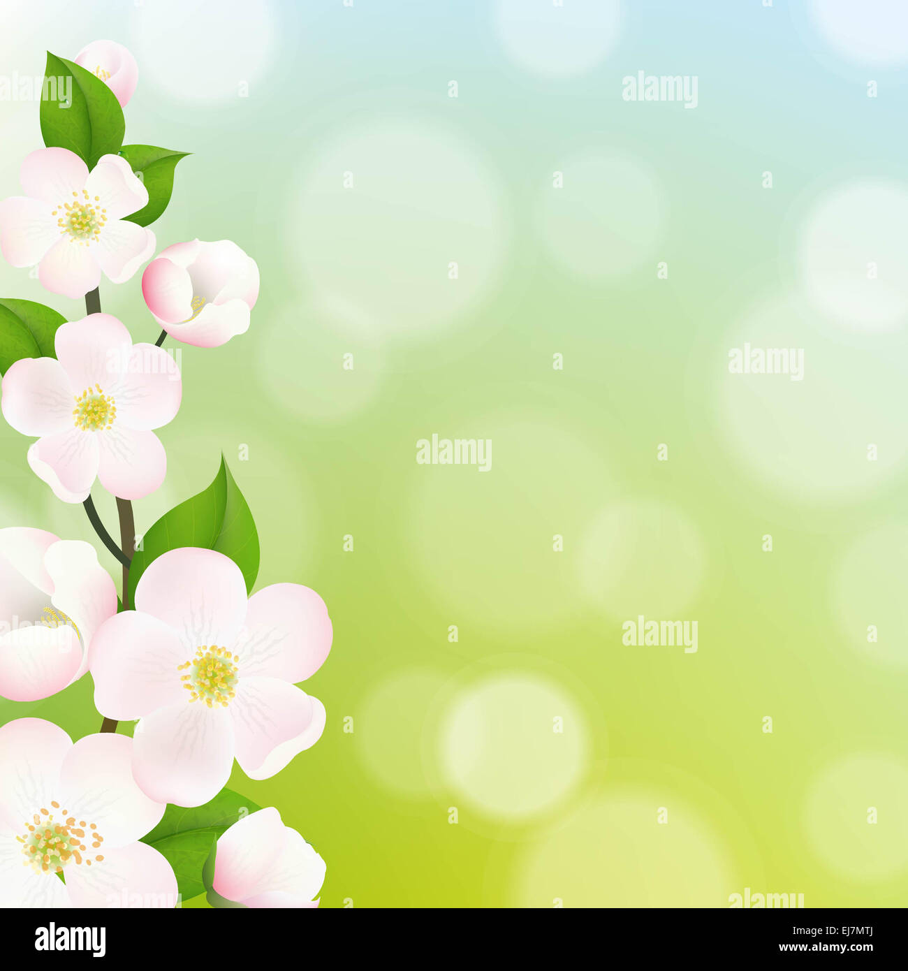 Pastel Apple Tree Flowers Frame Stock Photo - Alamy