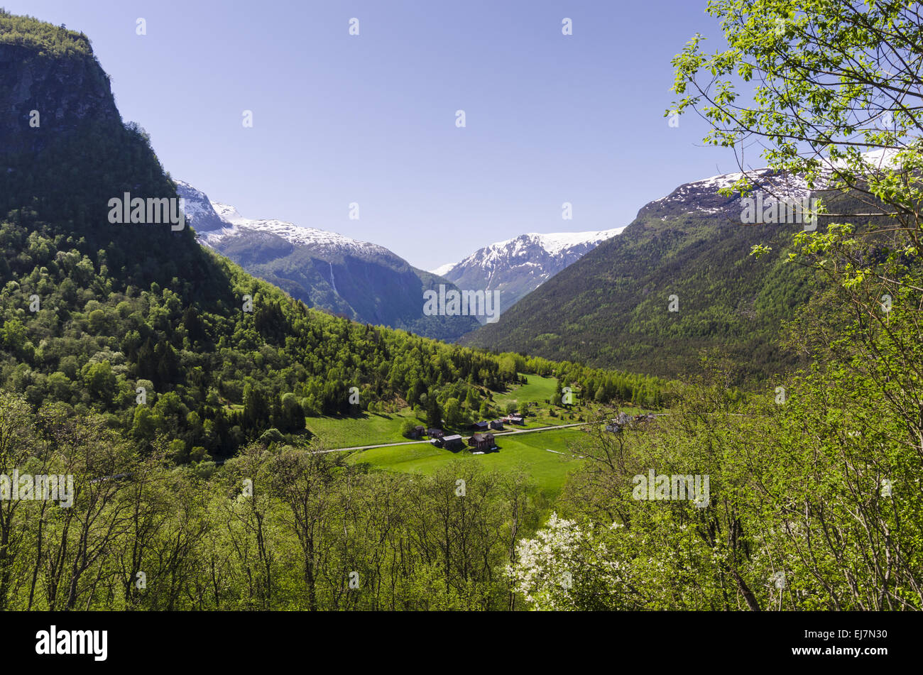 spring, Luster, Sogn og Fjordane, Norway Stock Photo - Alamy