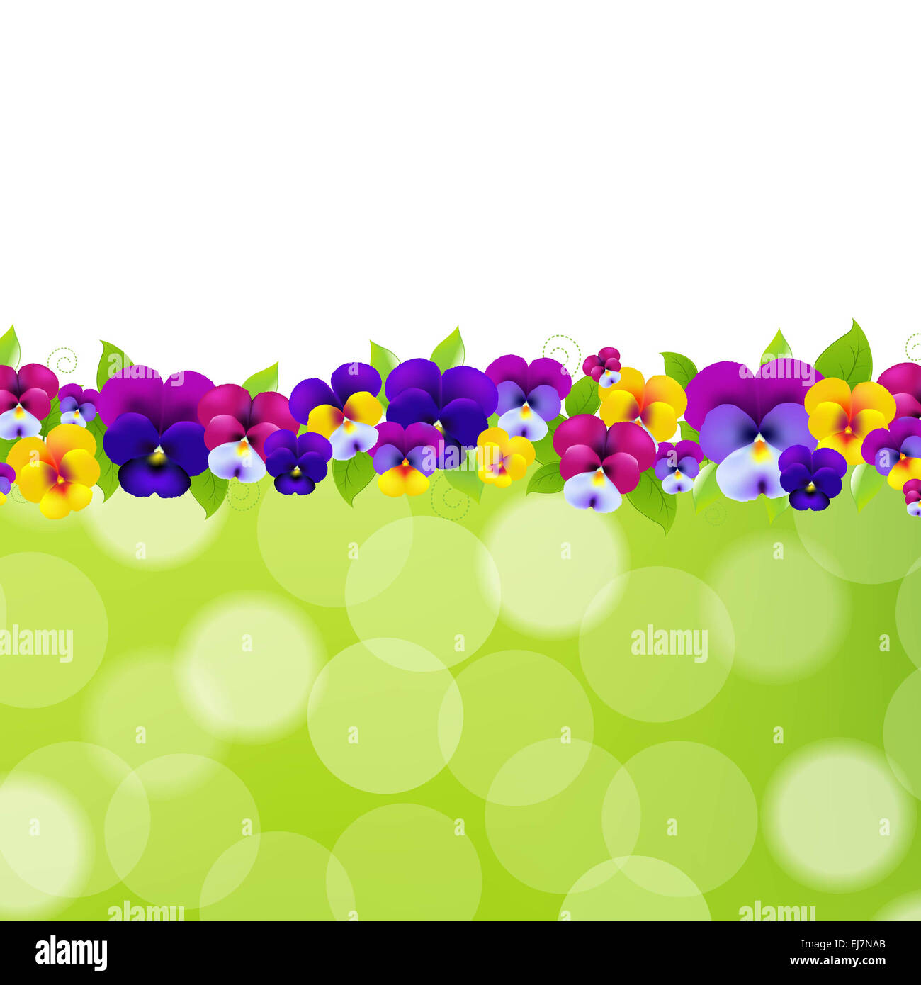 Spring Flowers Border Stock Photo - Alamy