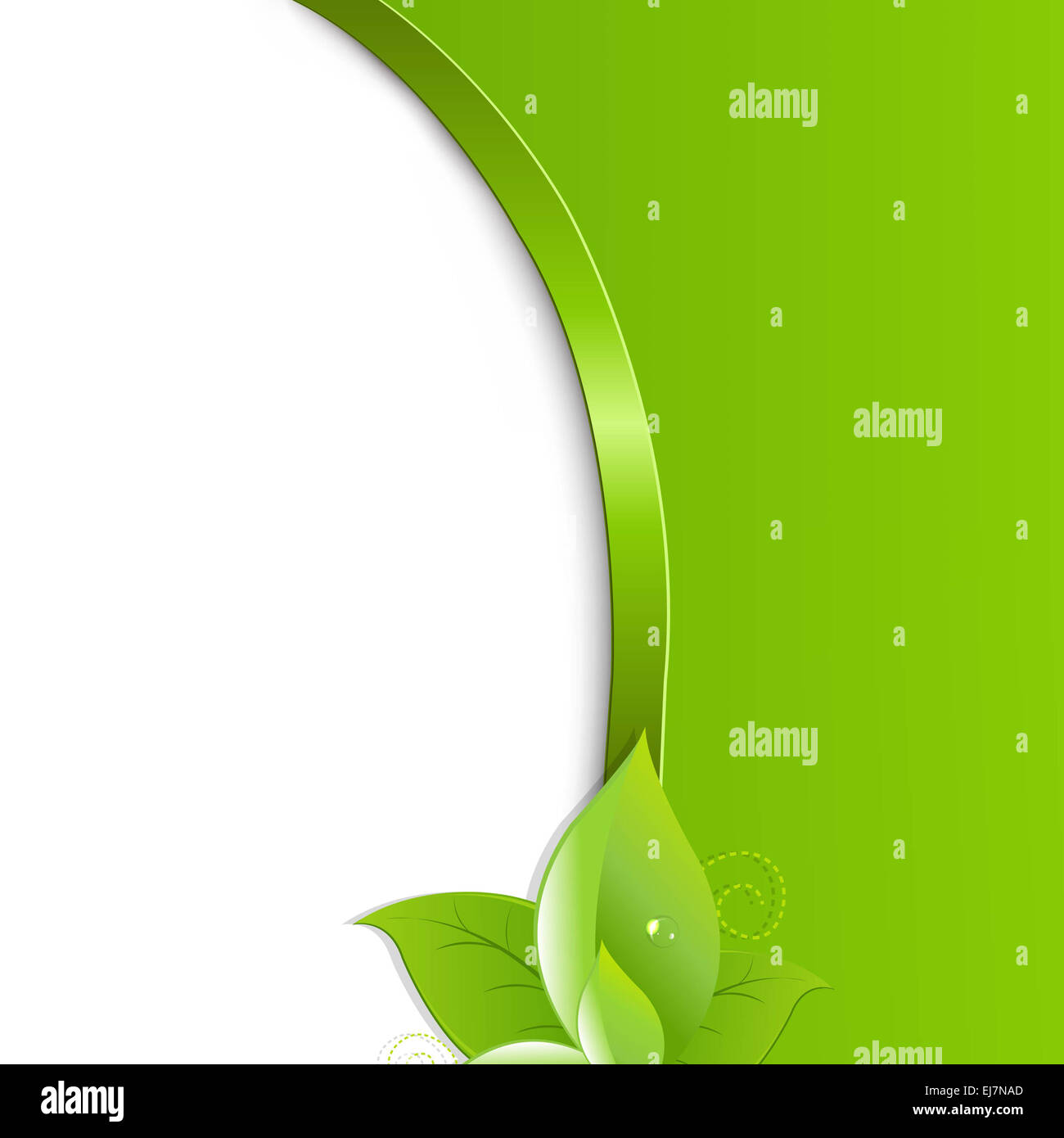 Green Ecology Background With Leaves Stock Photo - Alamy
